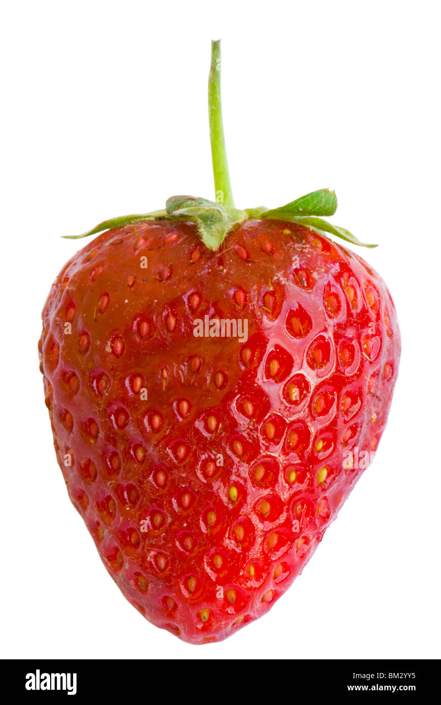 Single strawberry isolated on white Stock Photo - Alamy
