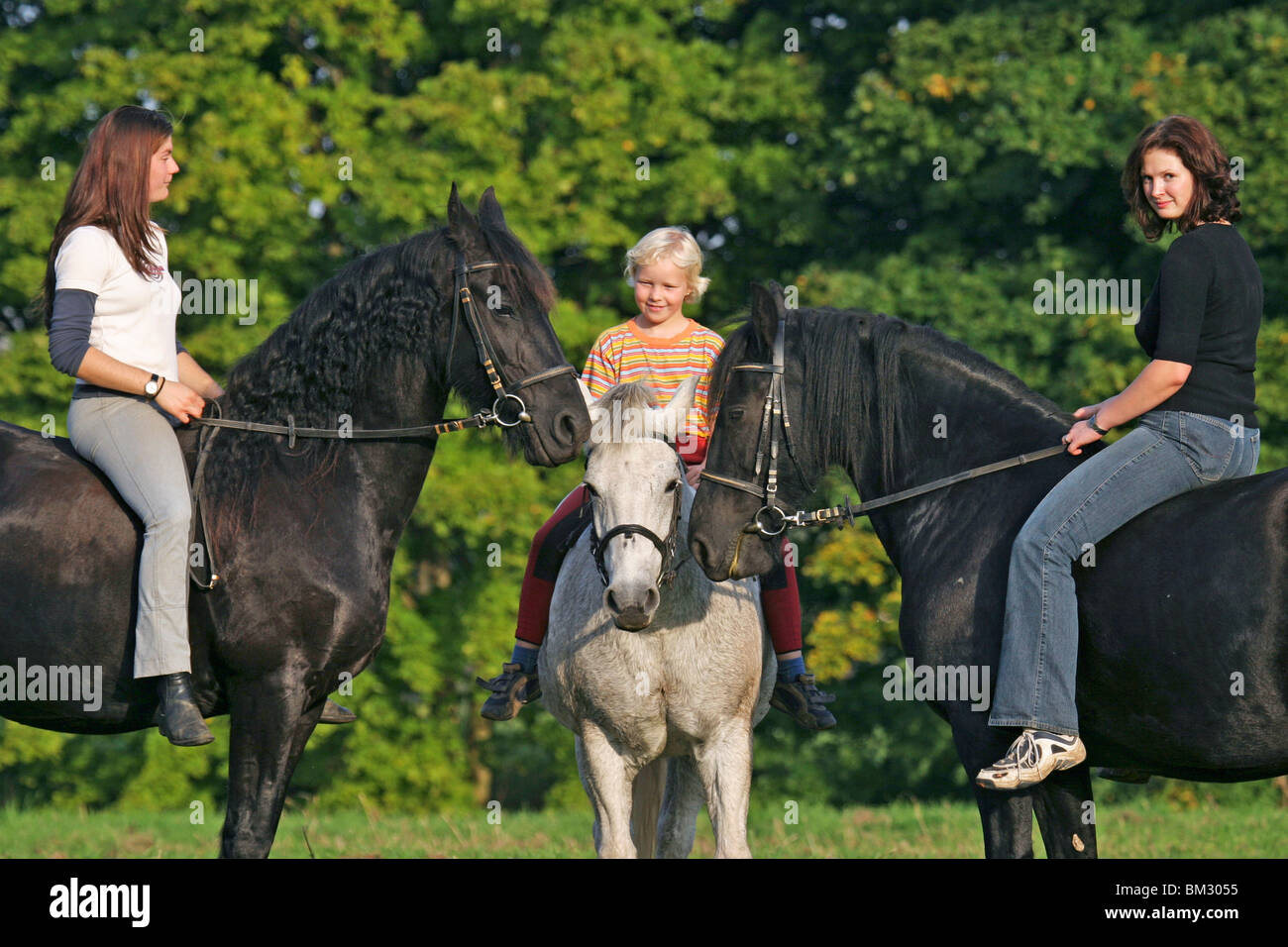 Pferde Freunde / horse friends Stock Photo - Alamy