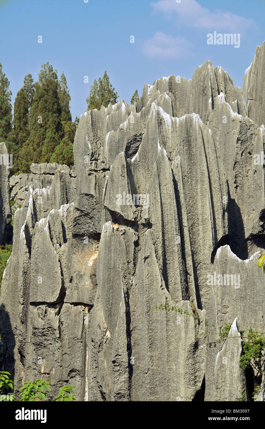 Rock formation Stone Forest Yunnan China Stock Photo - Alamy