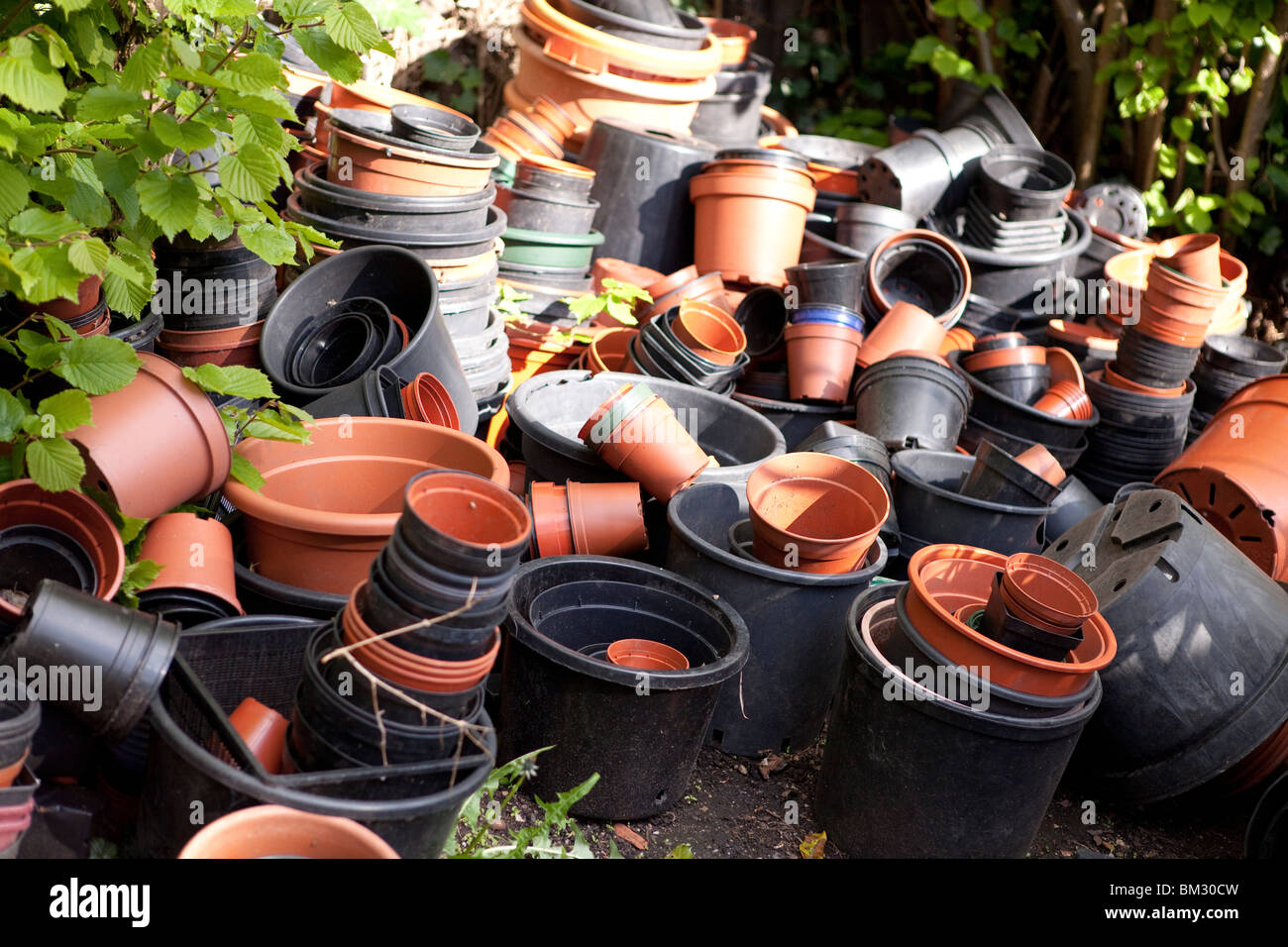 Large collection of plant pots Stock Photo - Alamy