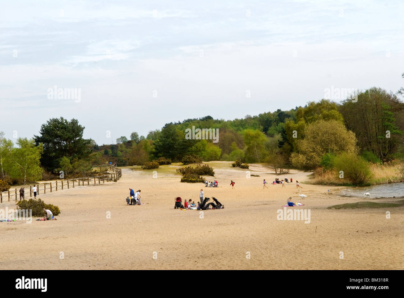 Frensham common beach hi-res stock photography and images - Alamy