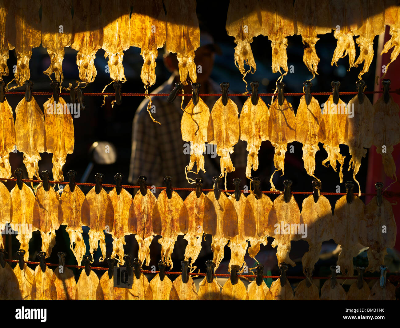 Pressed fish hi-res stock photography and images - Alamy