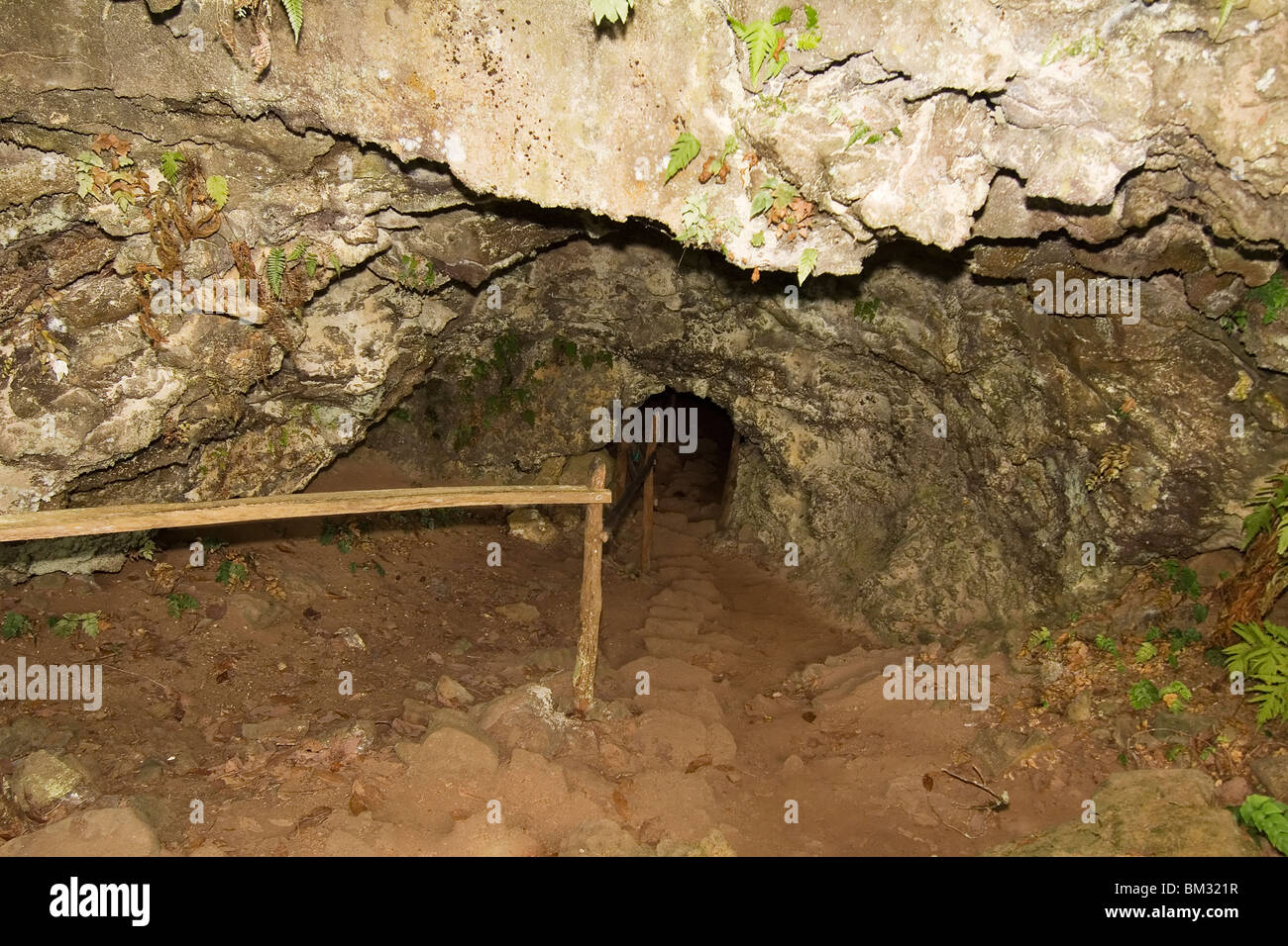 Lava tube, Santa Cruz Island, Galapagos Islands, Ecuador Stock Photo ...