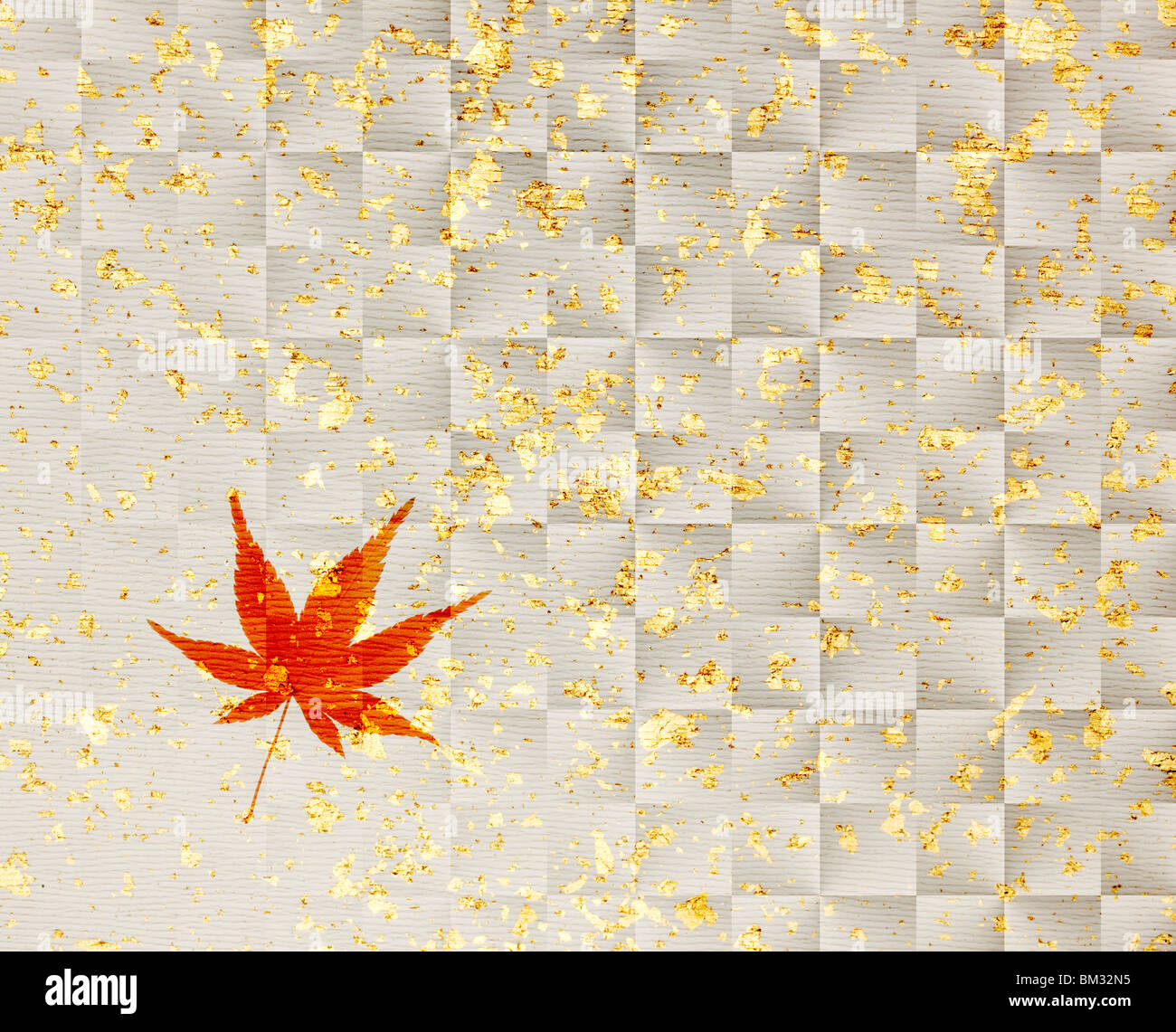 Silver maples hi-res stock photography and images - Alamy