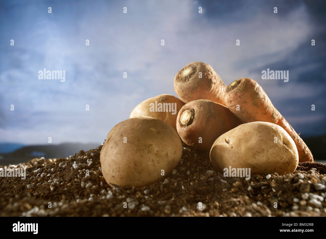 Ground potato hi-res stock photography and images - Alamy