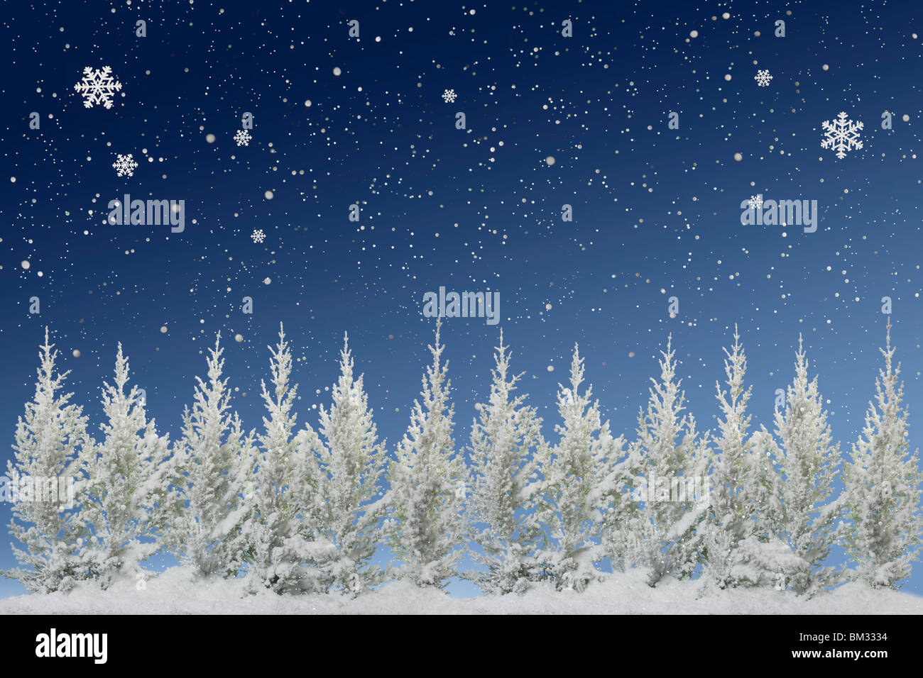 Snow Falling on Trees Stock Photo - Alamy