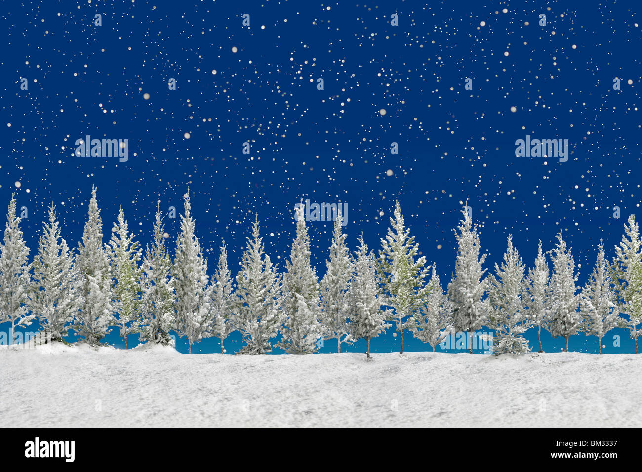 Snow Falling on Trees Stock Photo - Alamy