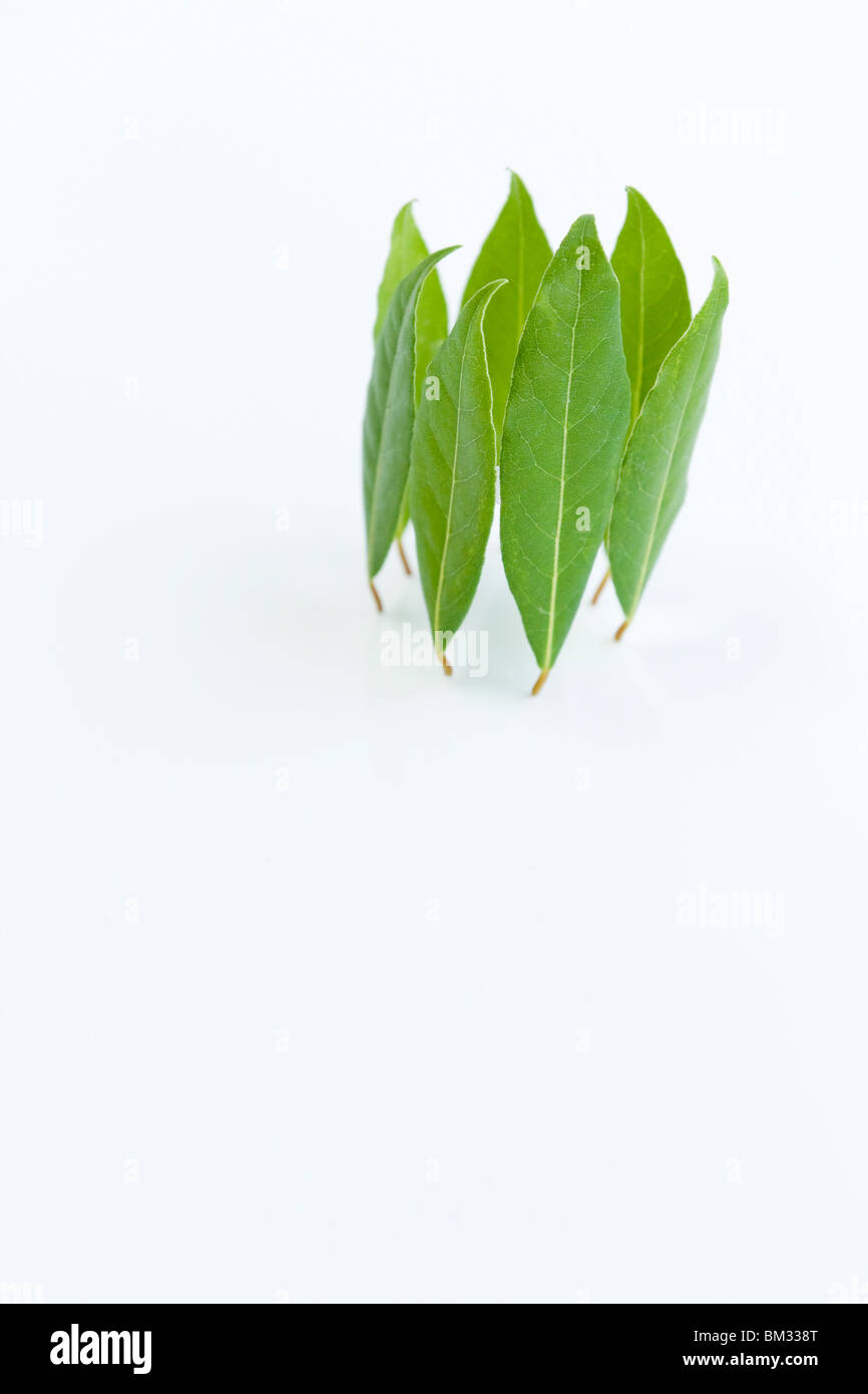 Circle bay Cut Out Stock Images & Pictures - Alamy