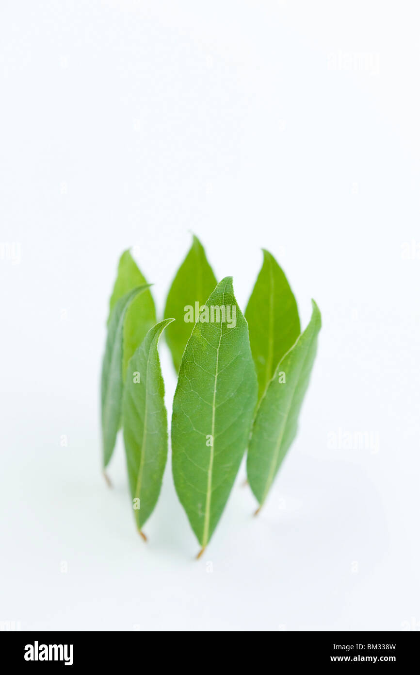 Forming a circle hi-res stock photography and images - Alamy