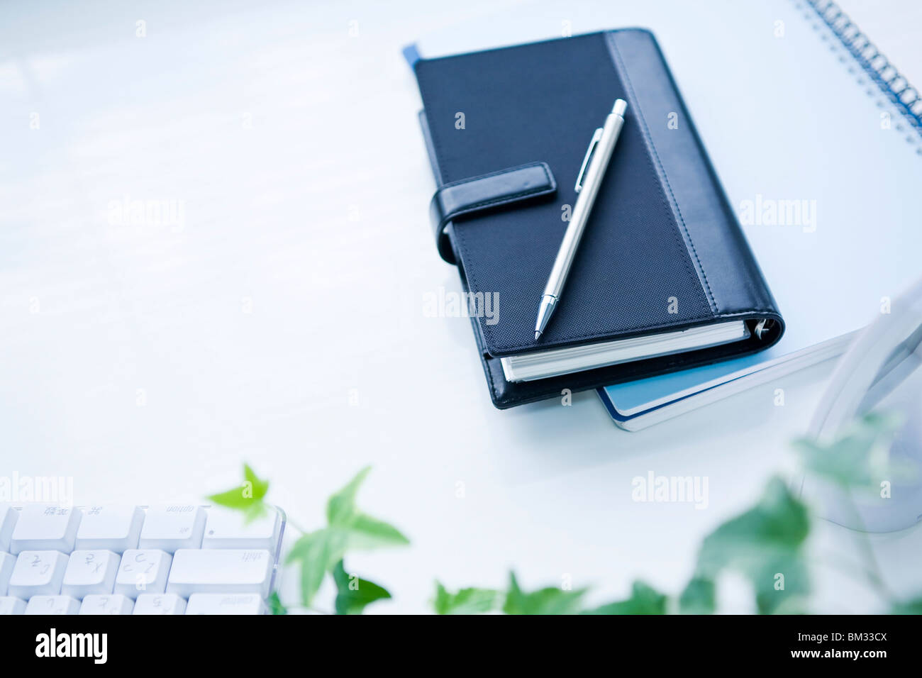 Diary, pen and Note Pad Stock Photo - Alamy
