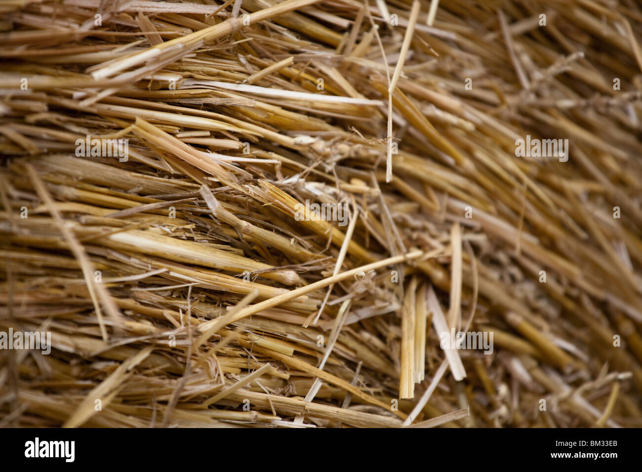 Straw bale texture hi-res stock photography and images - Alamy