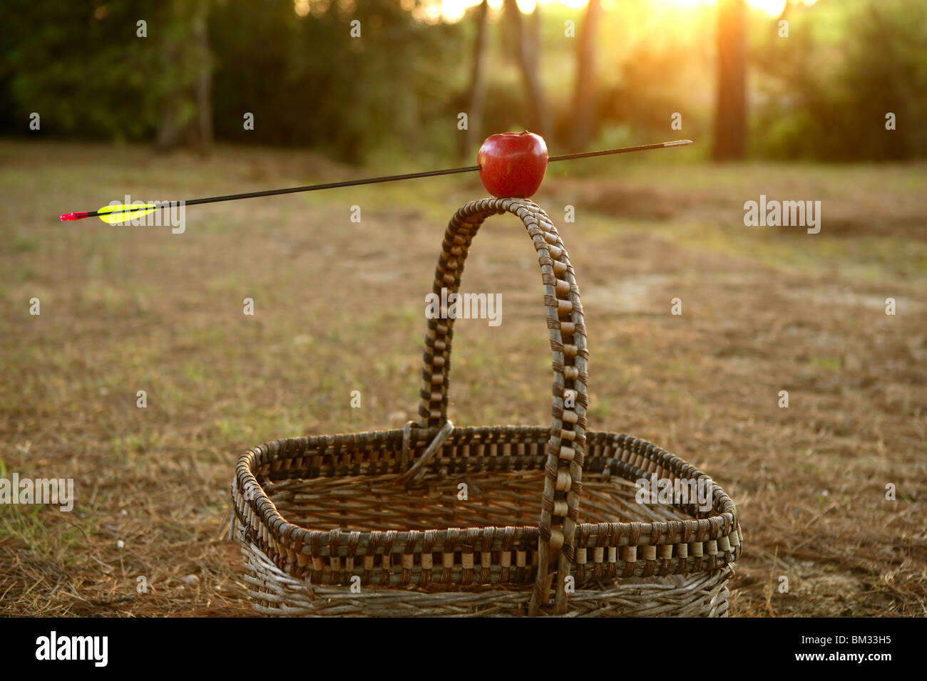 William tell metaphor with red apple and arrow in the forest Stock ...