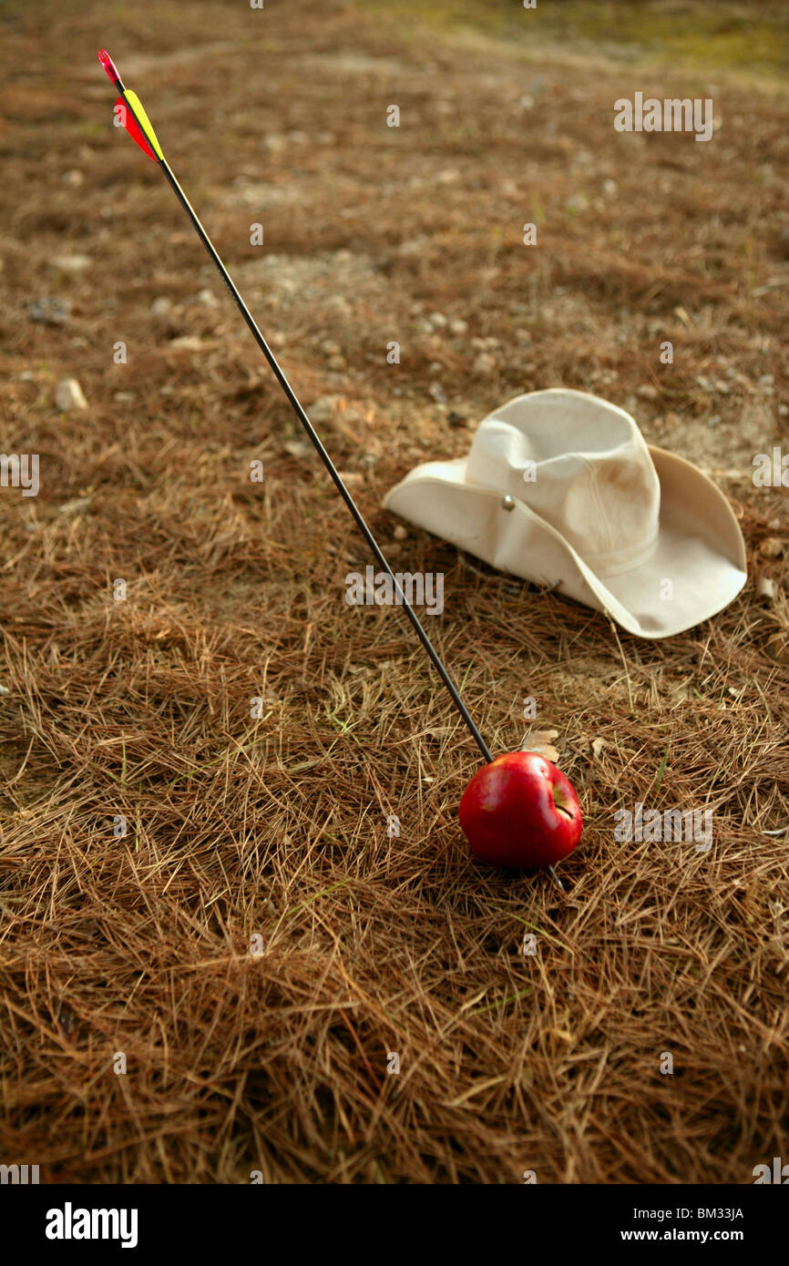 William tell metaphor with red apple and arrow in the forest Stock ...