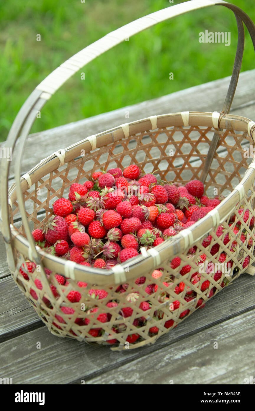Strawberries in basket Stock Photo - Alamy