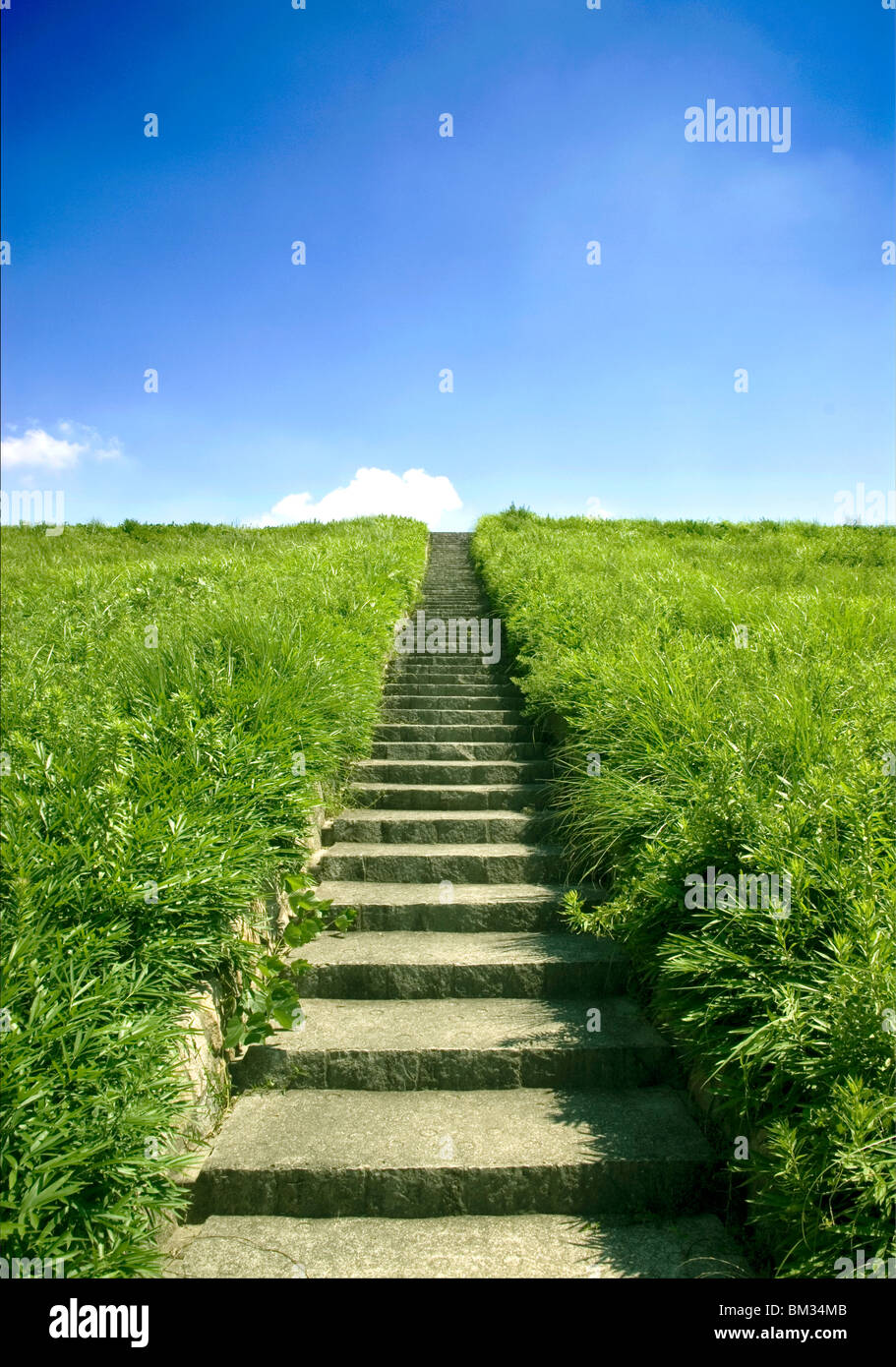 Stairs in field, Osaka prefecture, Japan Stock Photo - Alamy