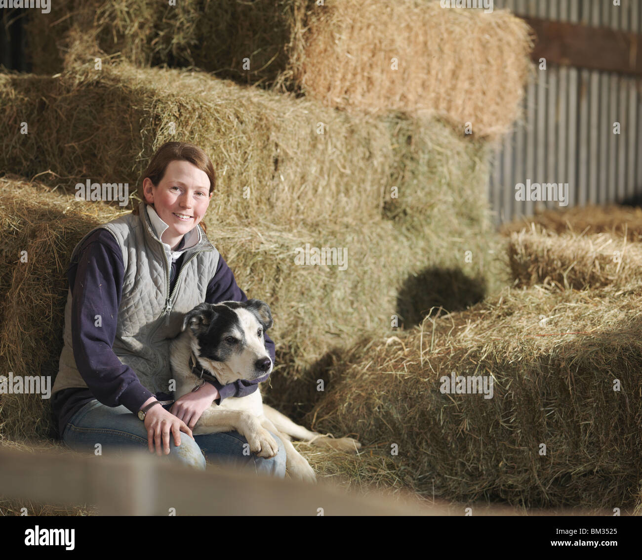 Dog farmer hi-res stock photography and images - Alamy