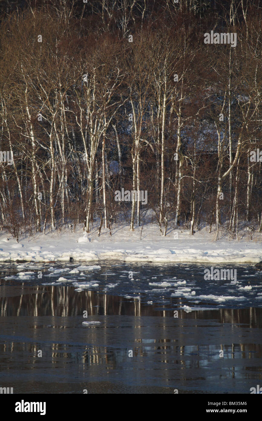 SWEDISH ARCHIPELAGO WINTER: Sweden Swedish archipelago east coast in ...