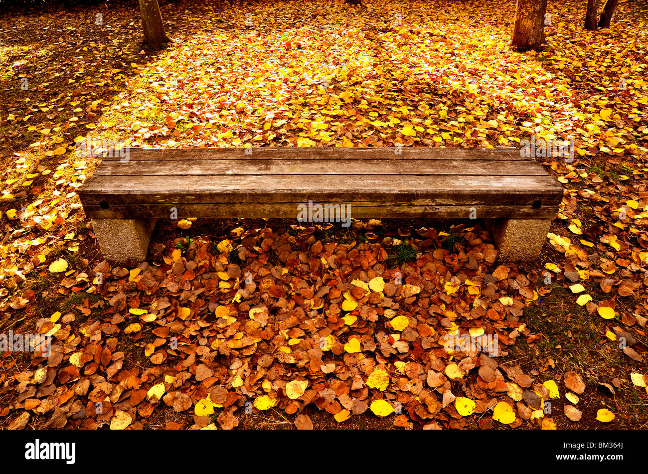 Bench in a park in autumn Stock Photo - Alamy