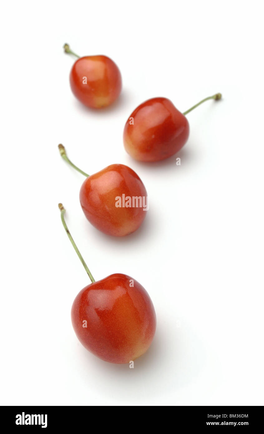 Four cherries on white background Stock Photo - Alamy