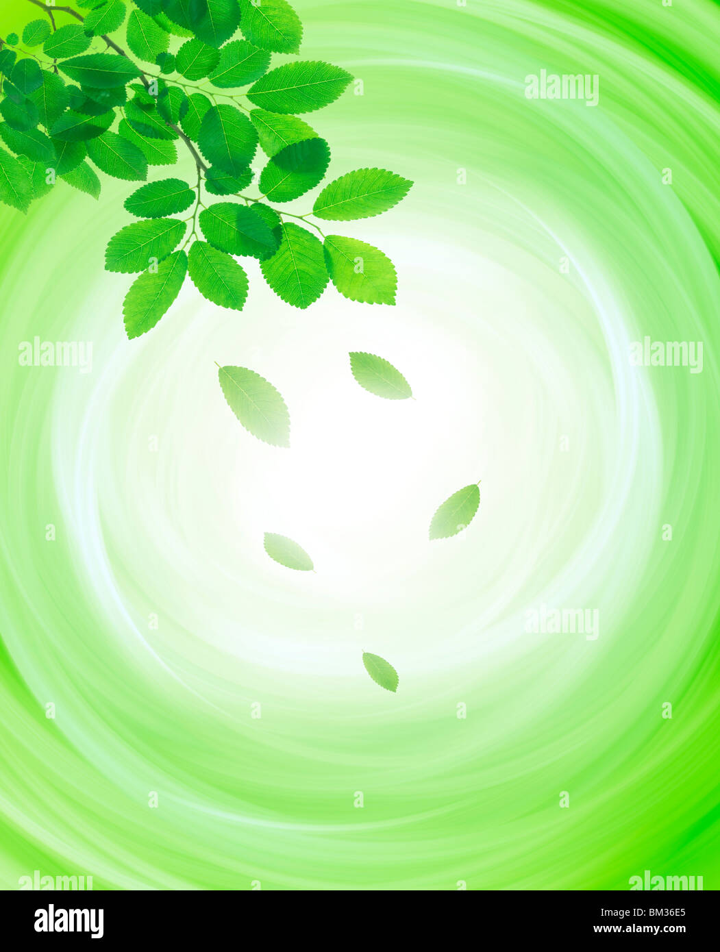 Leaves falling into vortex Stock Photo - Alamy