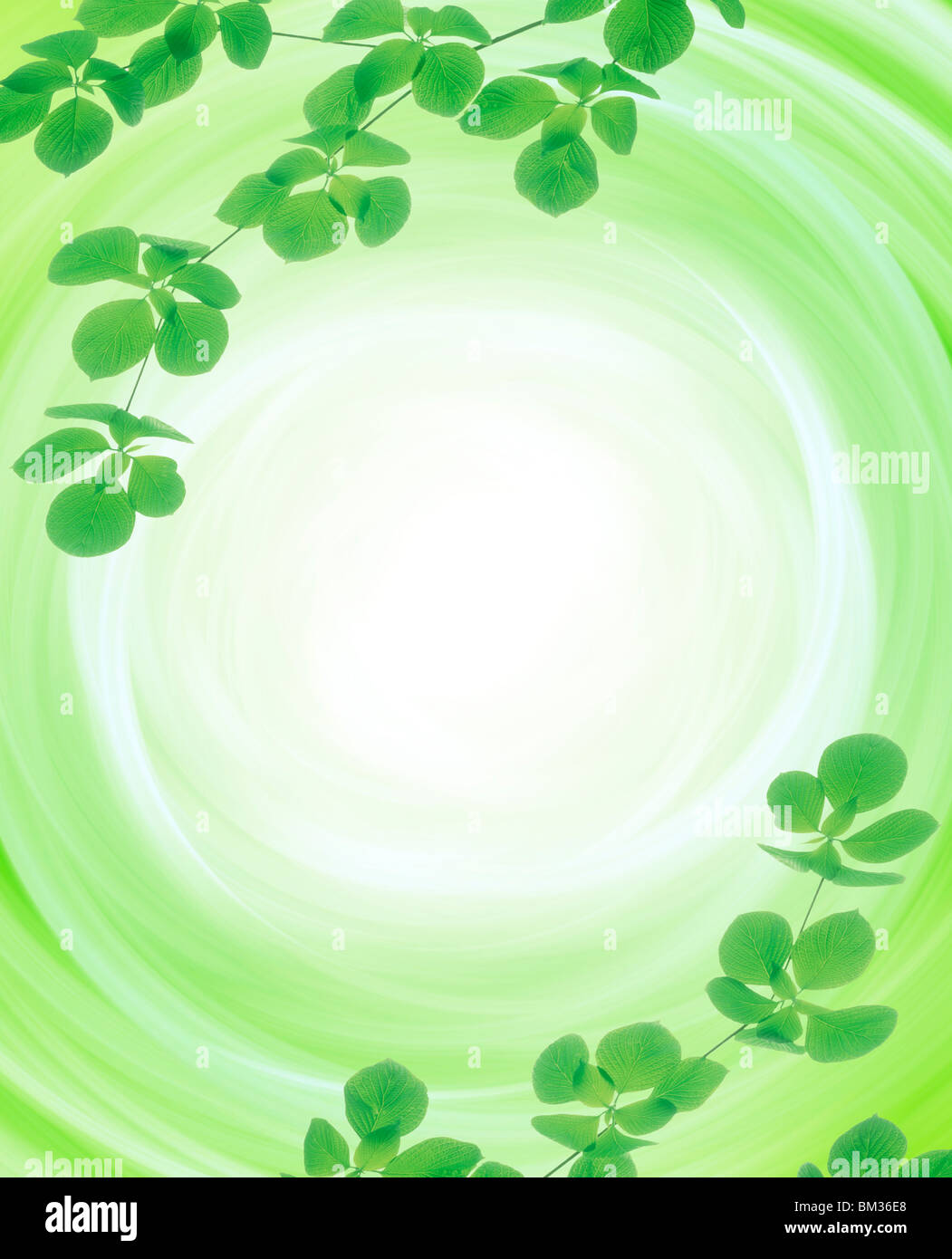 Swirl of delicate leaves hi-res stock photography and images - Alamy