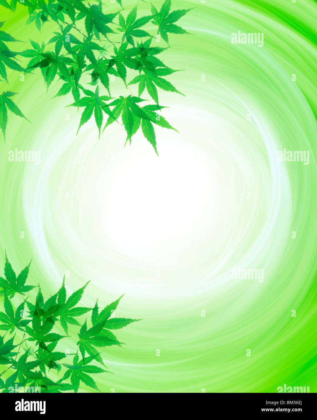 Leaves and vortex of light Stock Photo - Alamy