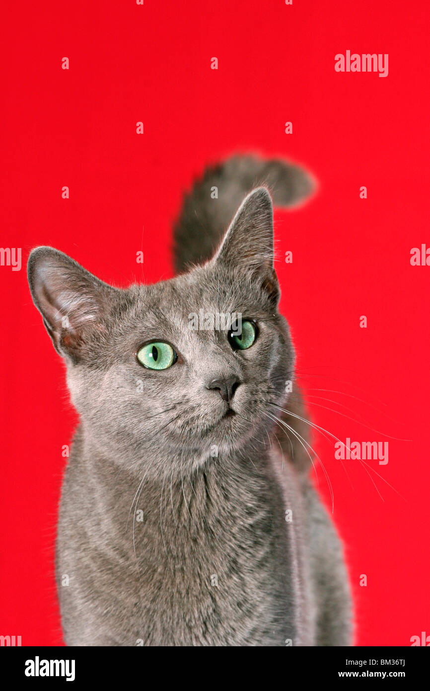 Russisch rot hi-res stock photography and images - Alamy