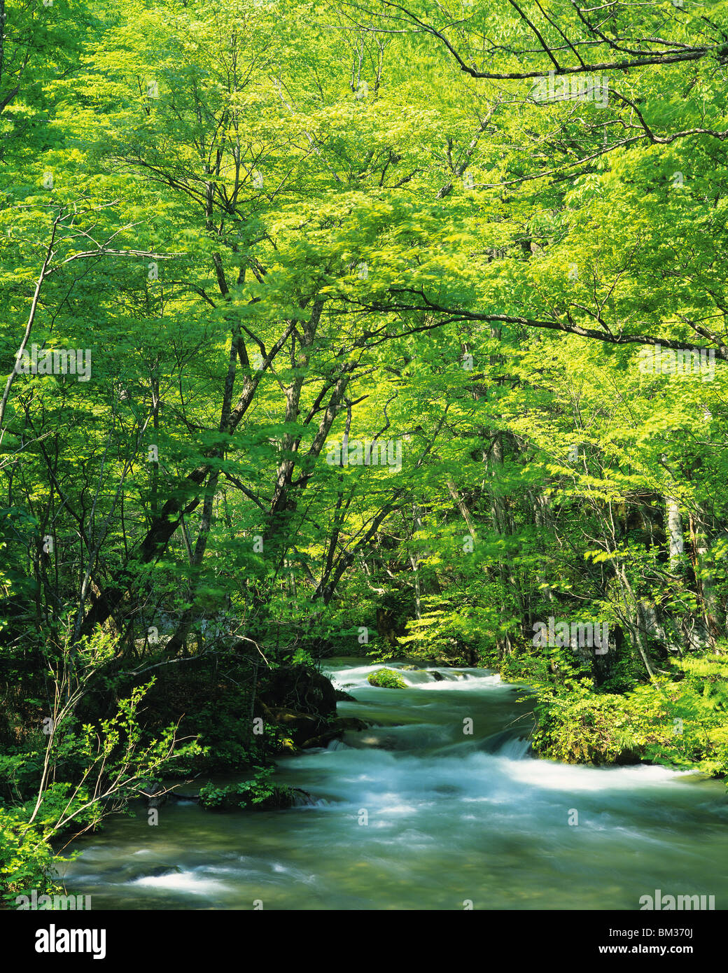 Towada city hi-res stock photography and images - Alamy