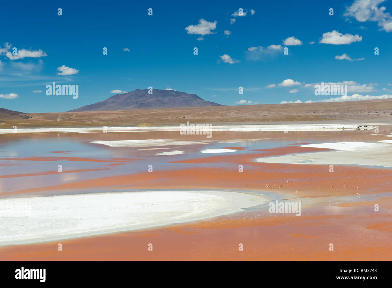 Ramsar convention hi-res stock photography and images - Alamy