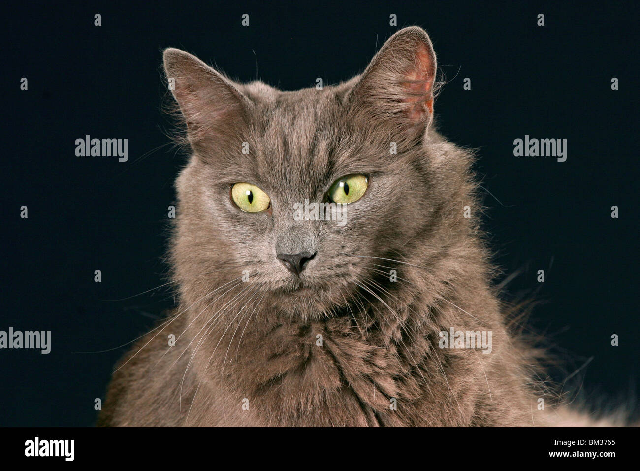 Rr 02524 hi-res stock photography and images - Alamy