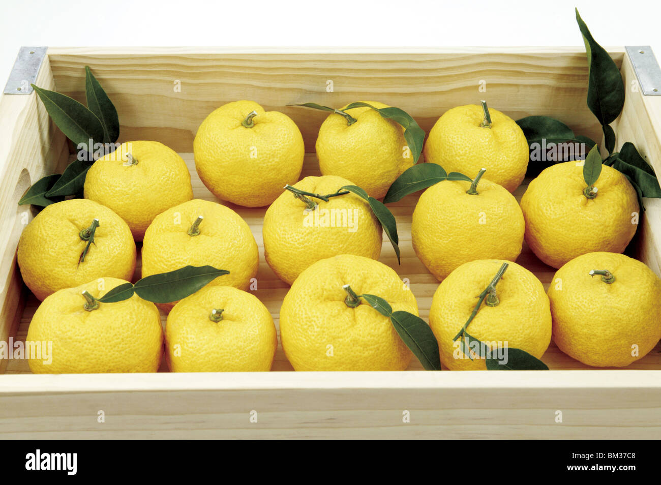Yuzu fruits in box, white background Stock Photo - Alamy