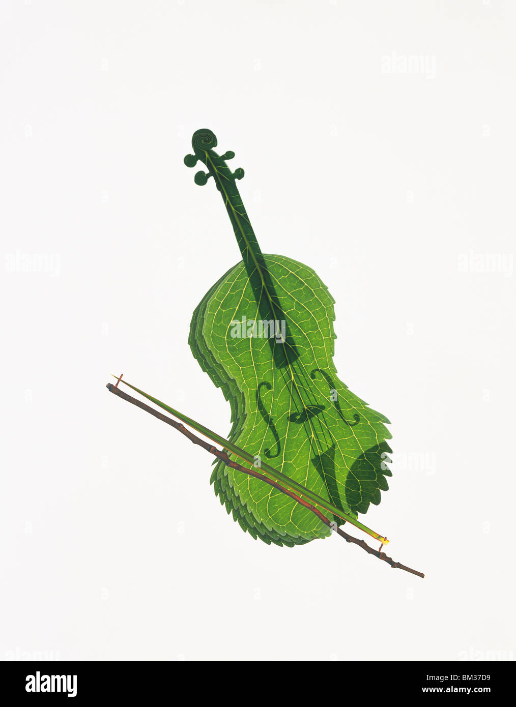 Composite bow Cut Out Stock Images & Pictures - Alamy
