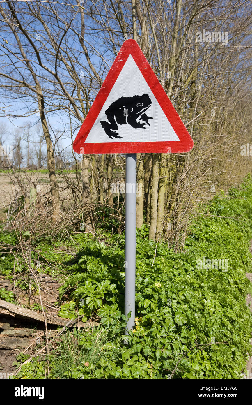 Frog sign hi-res stock photography and images - Alamy