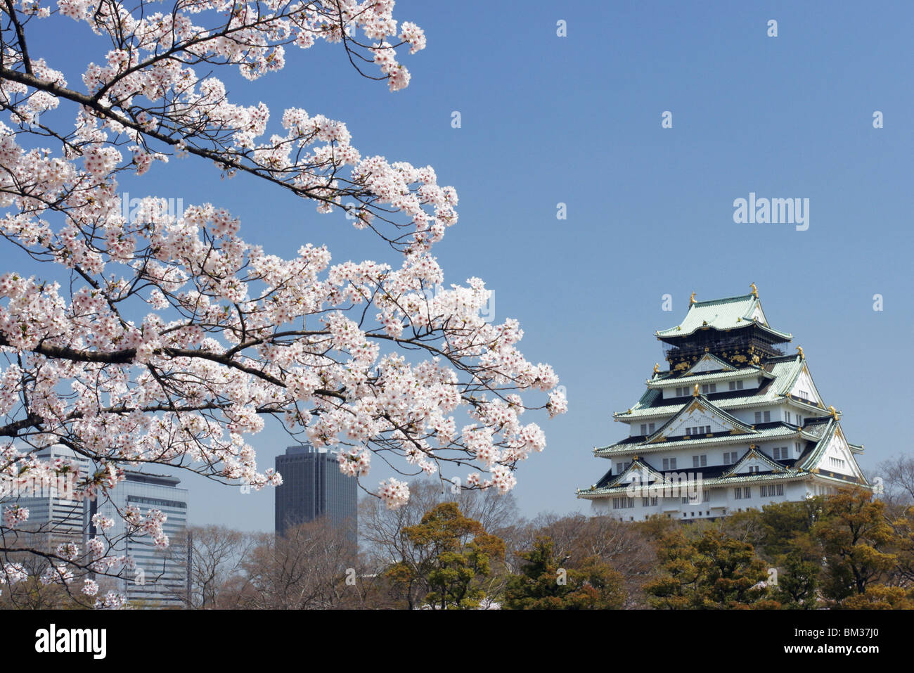 Osaka castle, Osaka Prefecture, Honshu, Japan Stock Photo - Alamy