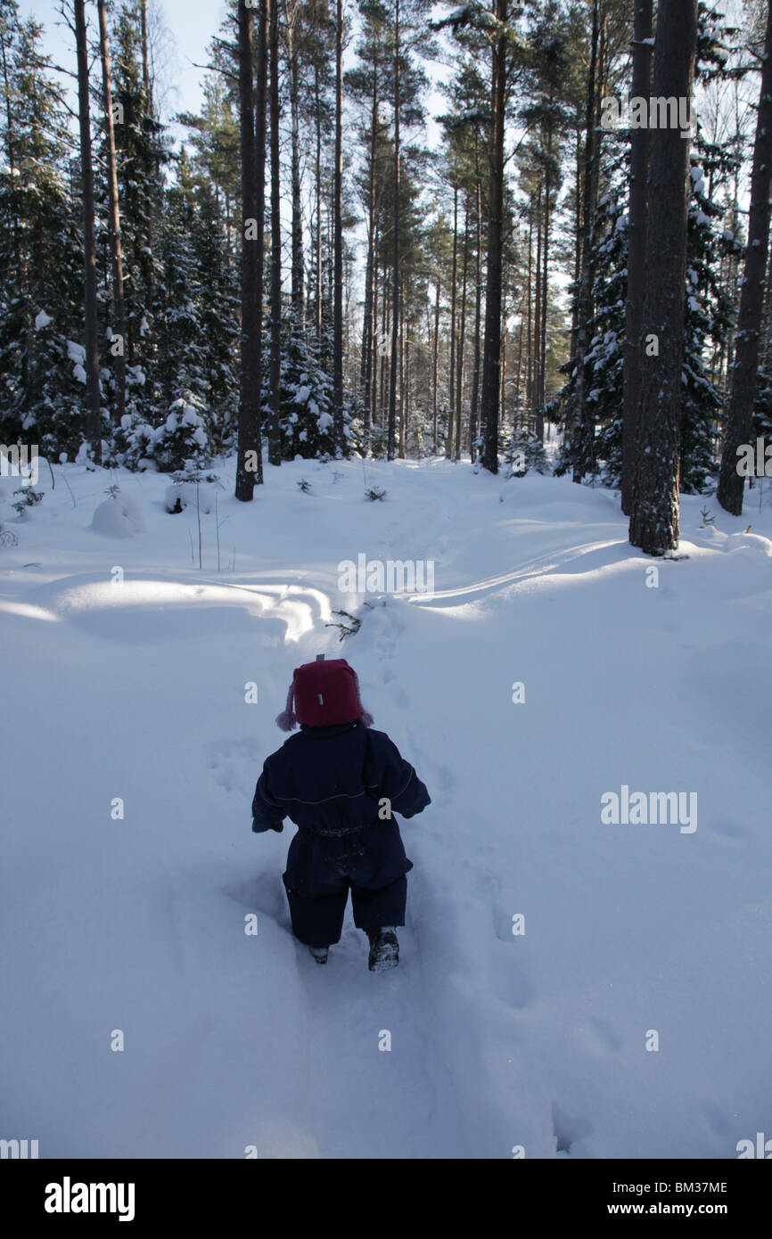 Snow on huge tree hi-res stock photography and images - Alamy