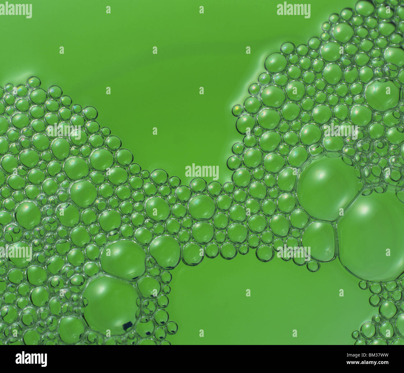 Bubbles in green backgrounds Stock Photo - Alamy
