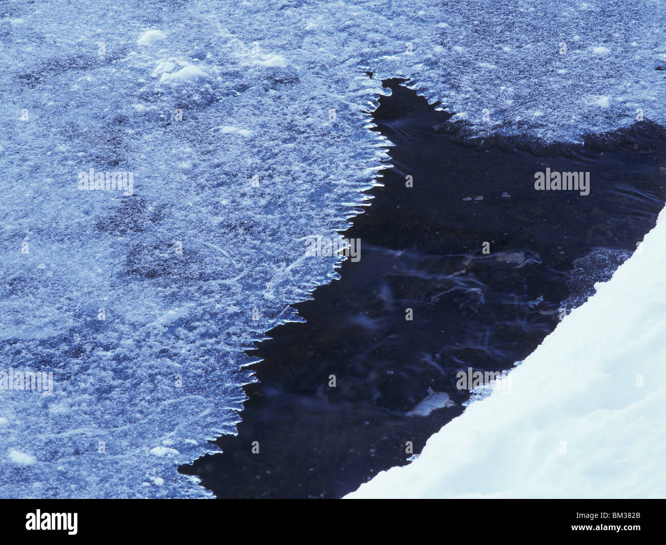 Melting snow, close up Stock Photo - Alamy