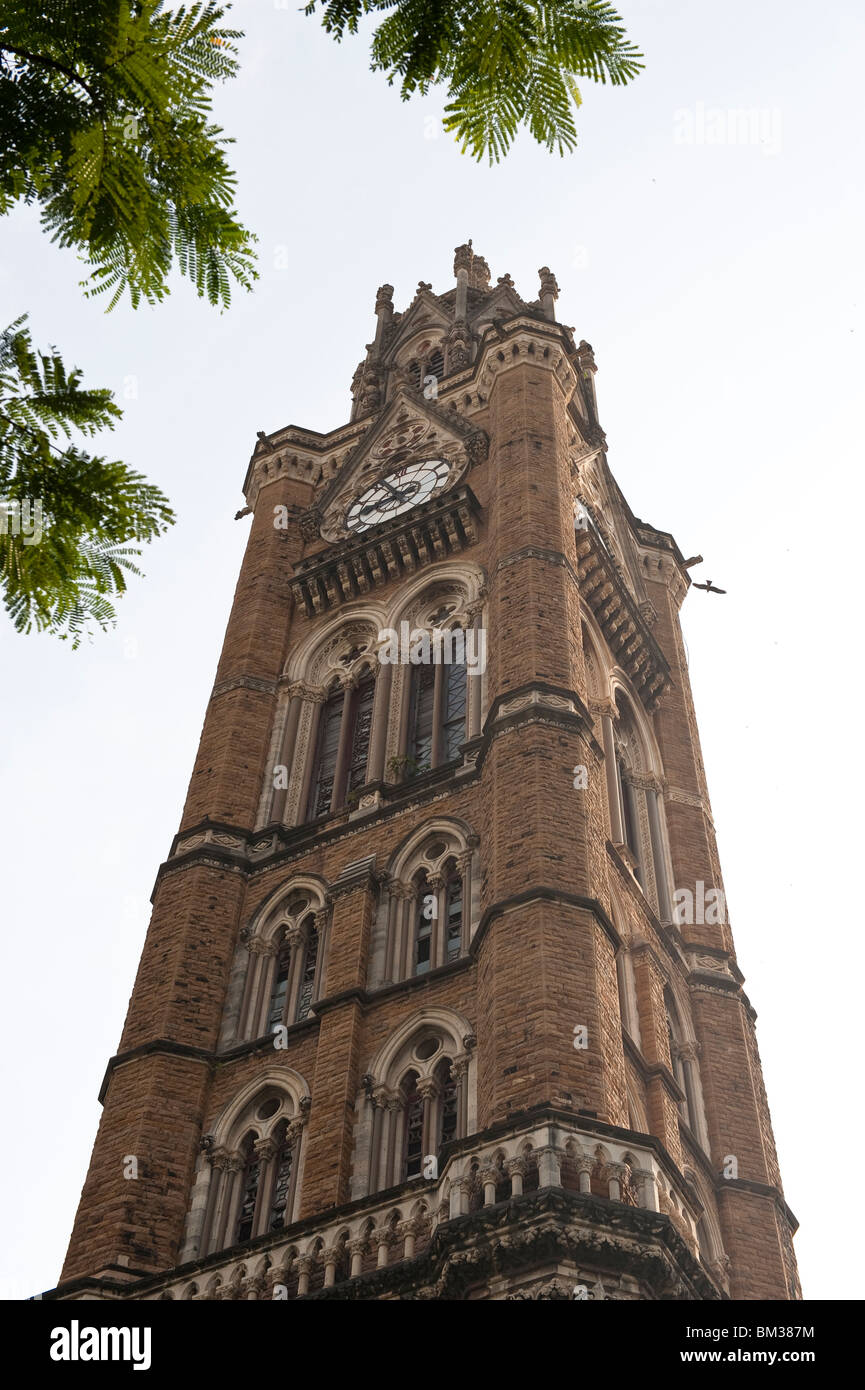 Clock tower university mumbai hi-res stock photography and images - Alamy