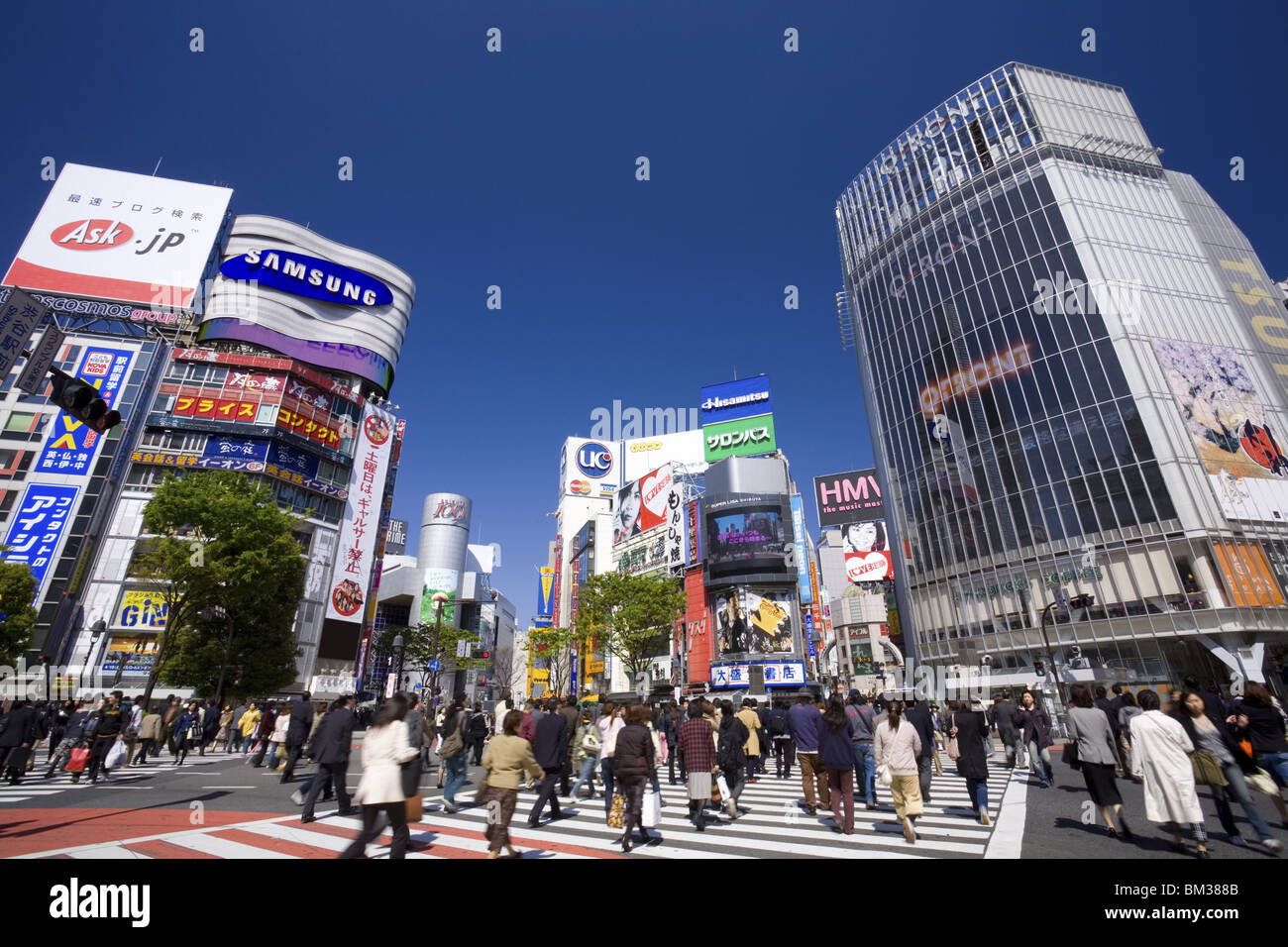 Zebra crossing Shibuya Ward Tokyo Prefecture Honshu Japan Stock Photo ...