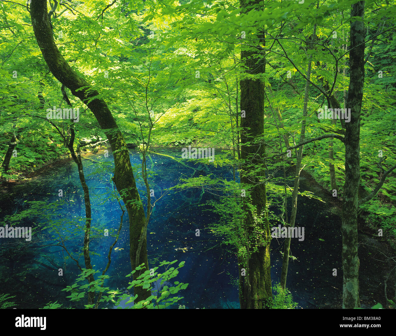Juniko lake hi-res stock photography and images - Alamy