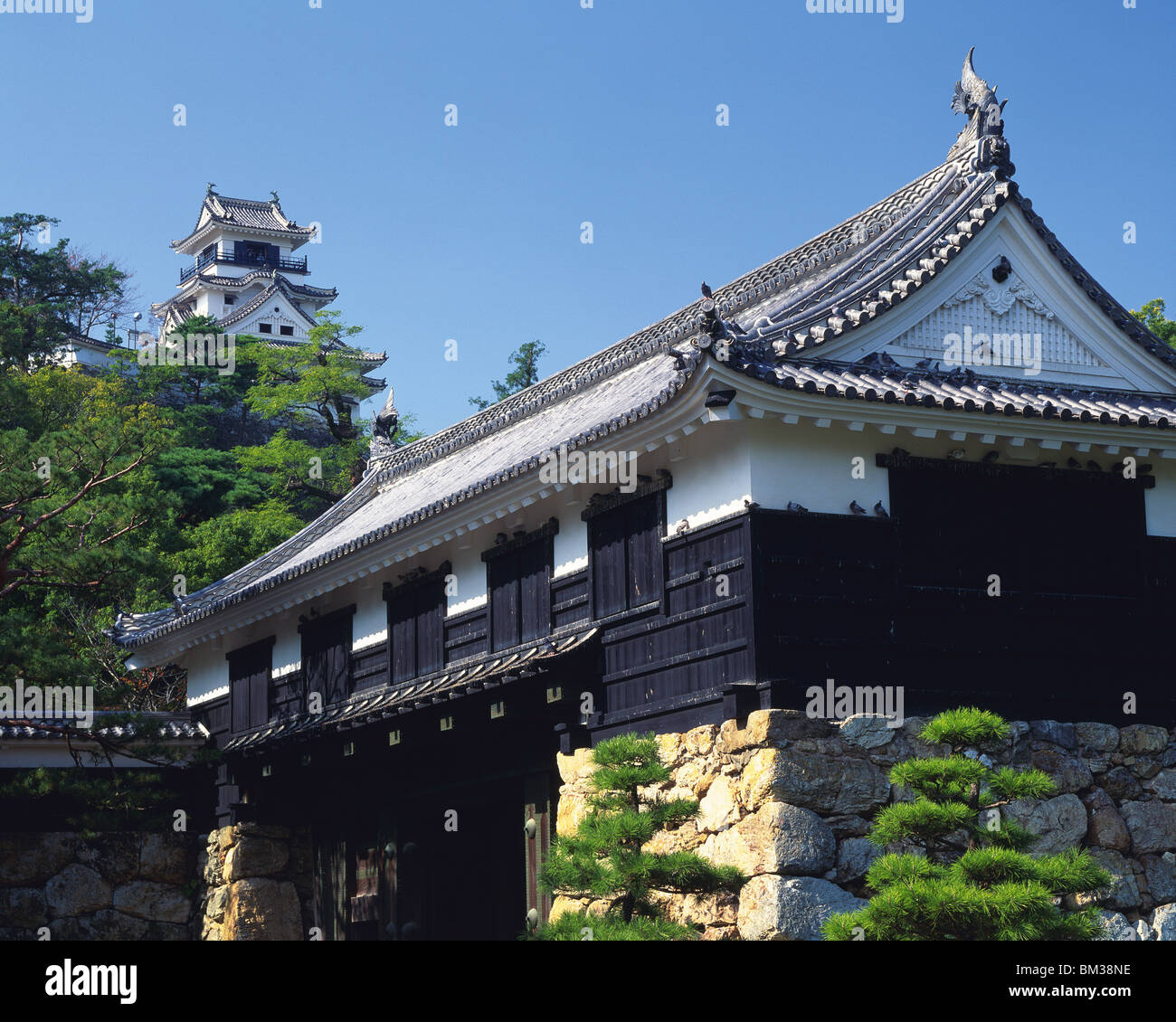 Kochi castle hi-res stock photography and images - Alamy