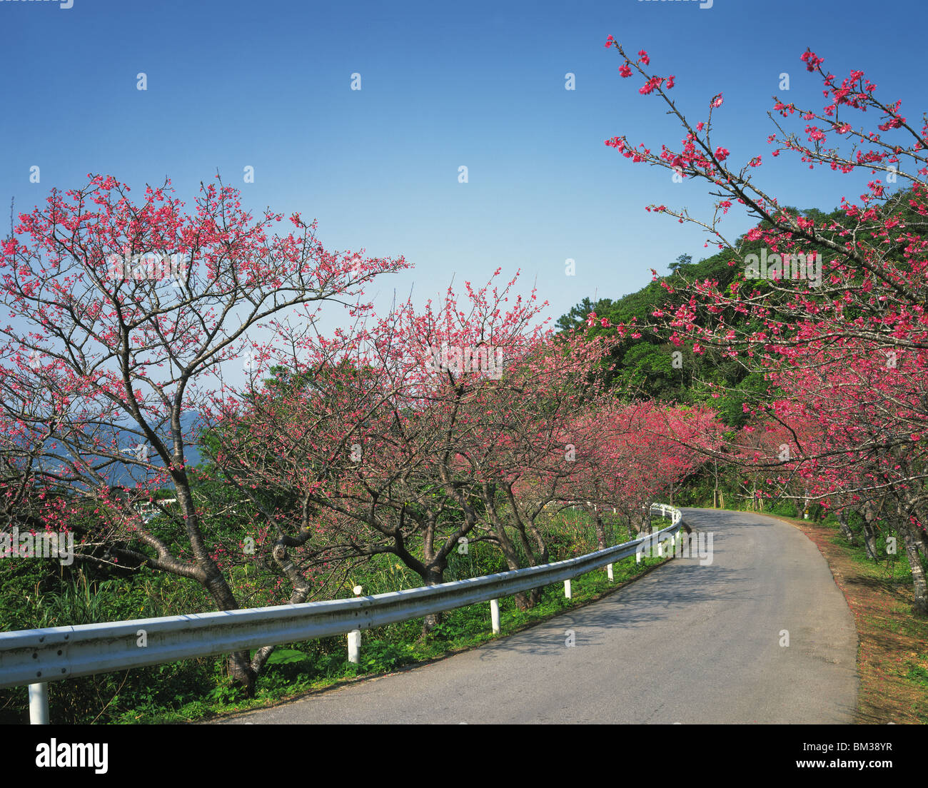 Motobu High Resolution Stock Photography and Images - Alamy