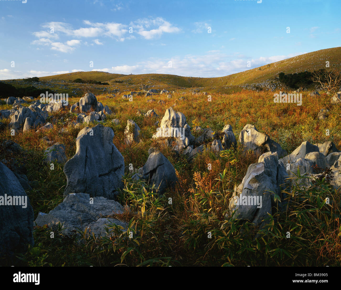 Karst tableland hi-res stock photography and images - Alamy
