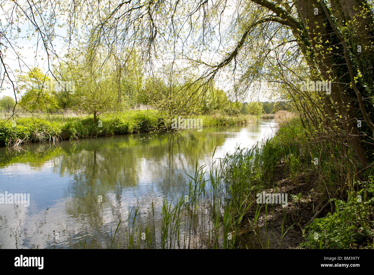 Nadder hi-res stock photography and images - Alamy