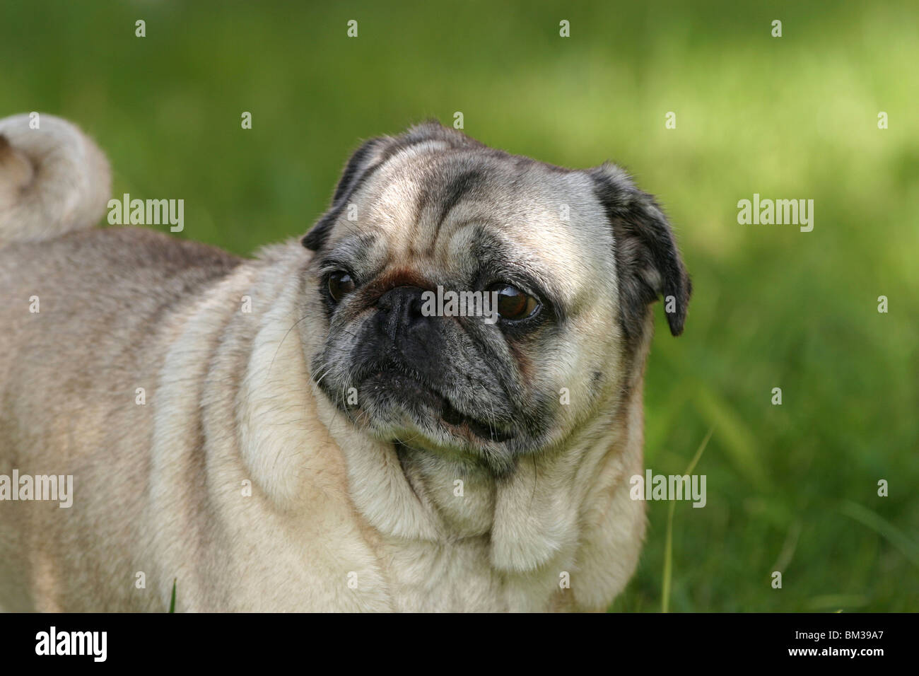 Senioren beige hi-res stock photography and images - Alamy