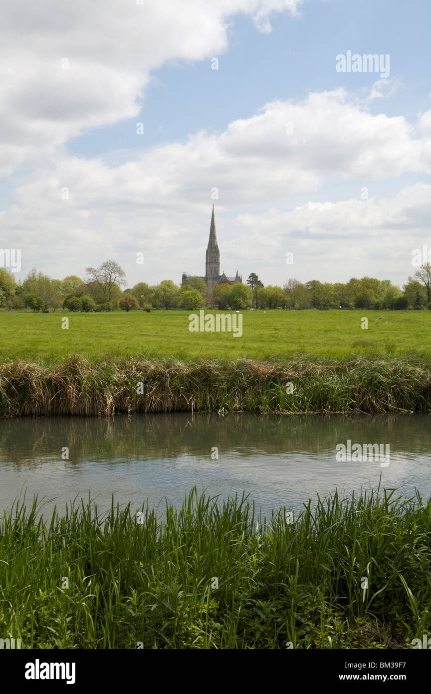 Water meadows in wiltshire hi-res stock photography and images - Alamy