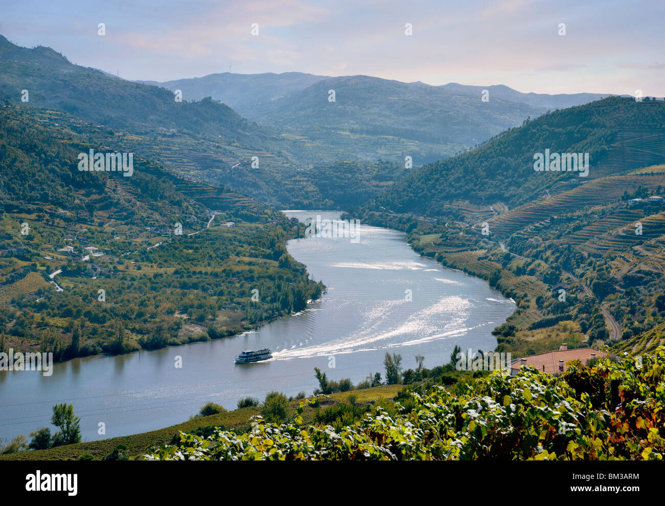 Portugal, Vineyards And The Douro Valley, The Alto Douro At Mesão Frio ...