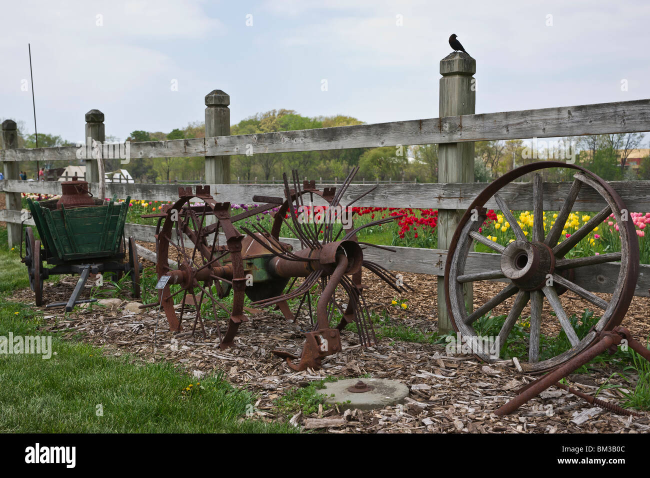 Old potato harvester hi-res stock photography and images - Alamy