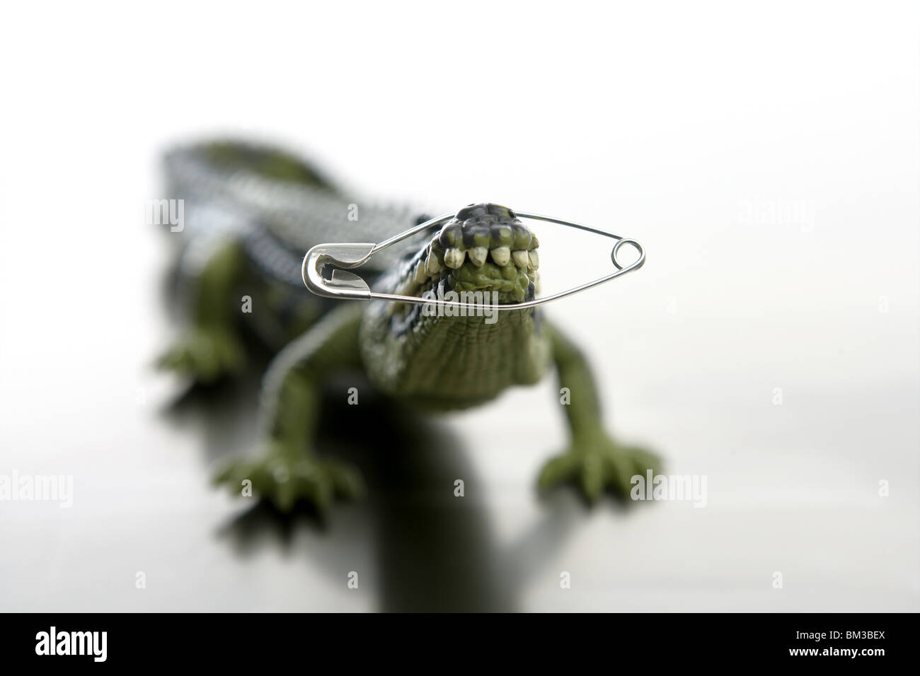 Toy plastic cocodrile, aligator with pin closing its sharped theet jaws ...