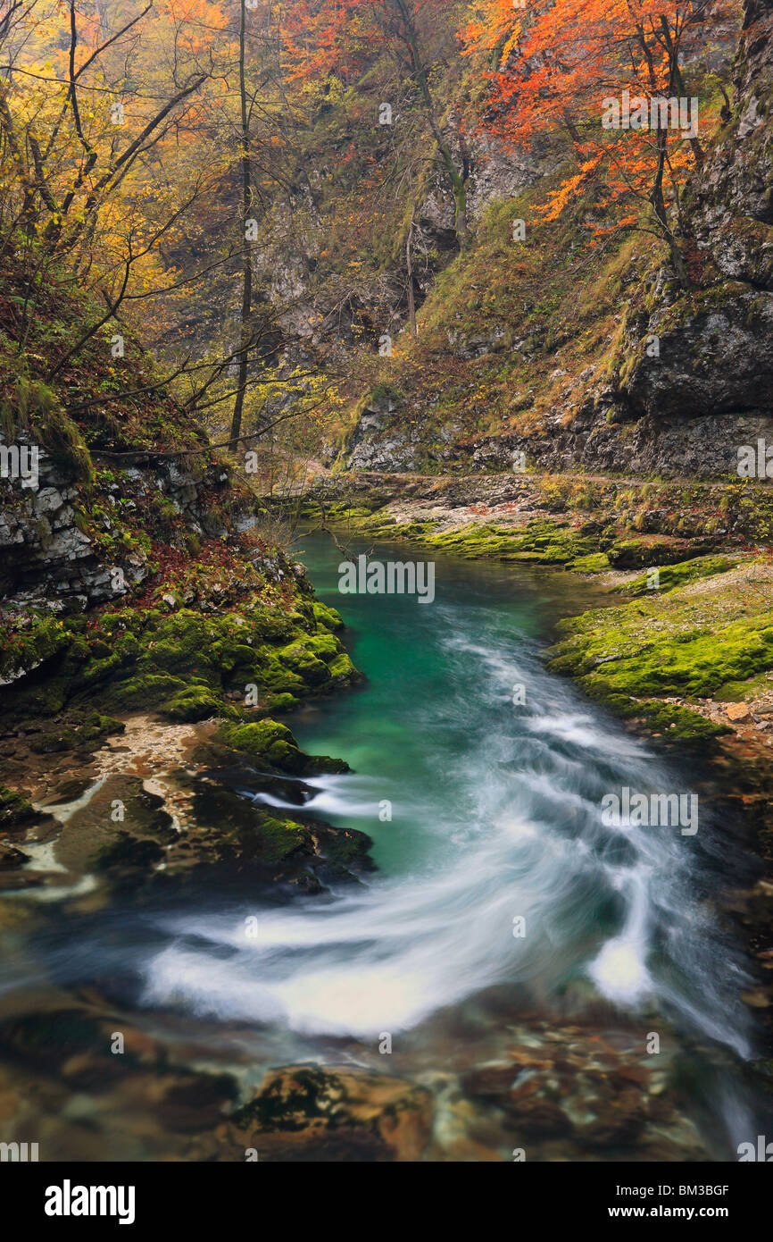 View from the path along Vintgar Gorge near Bled in Gorenjska. Slovenia ...